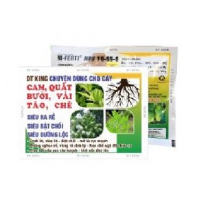 Nông nghiệp Nghi Anh - Vì một nền nông nghiệp xanh